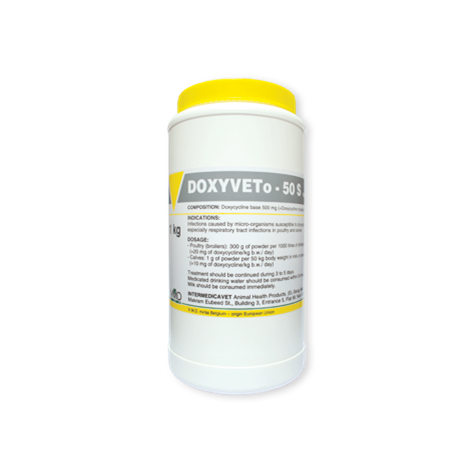 Intermedicavit :: Where you can trust!